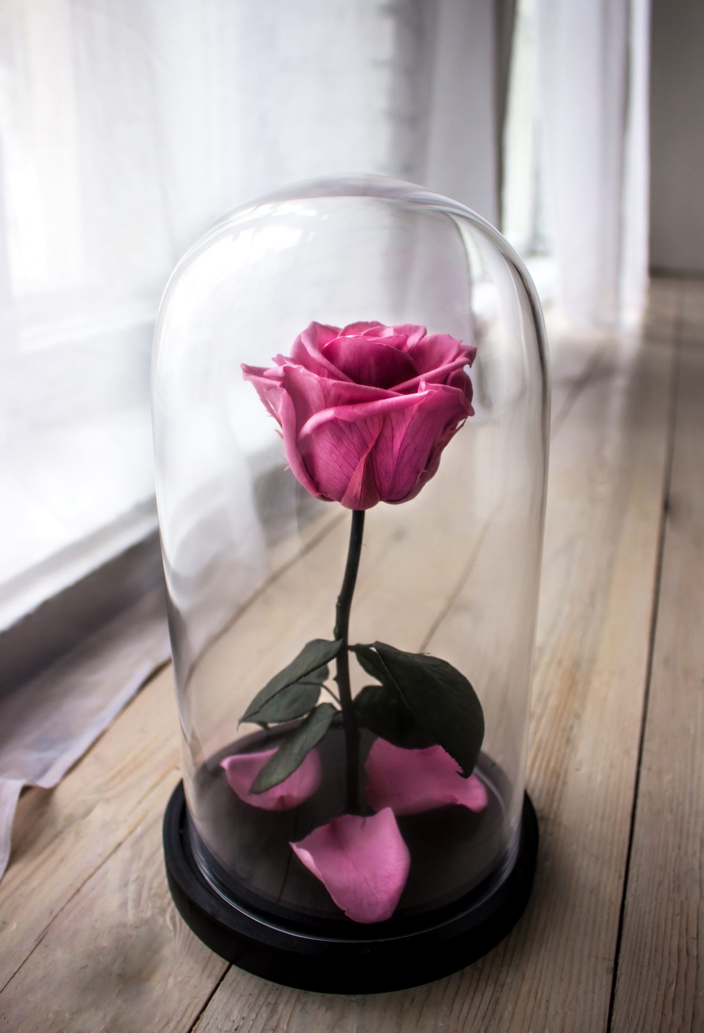 rosas eternas online que se mantienen perfectas más de tres años